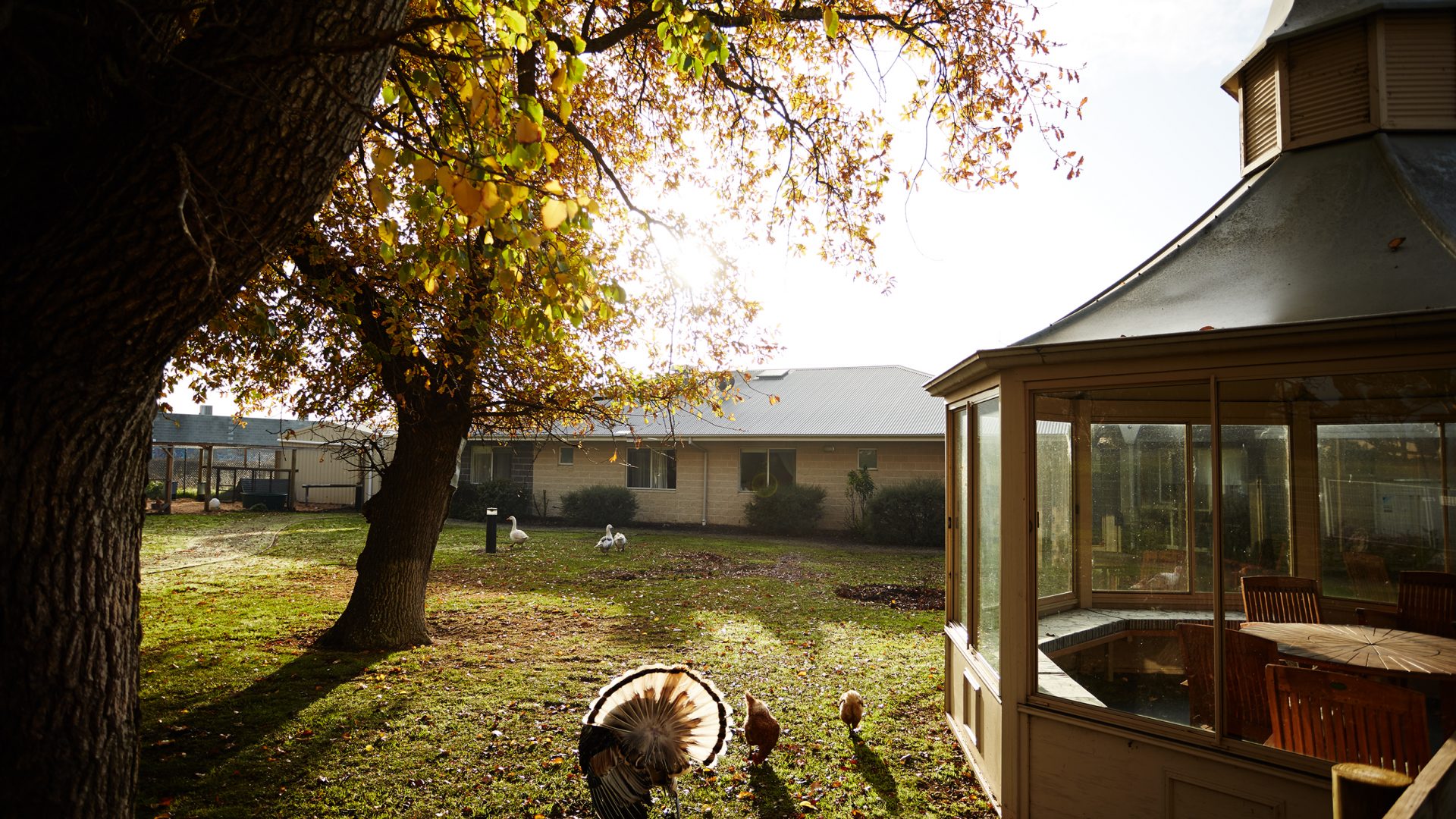 Mercy Place Colac - Residential Aged Care - Mercy Health